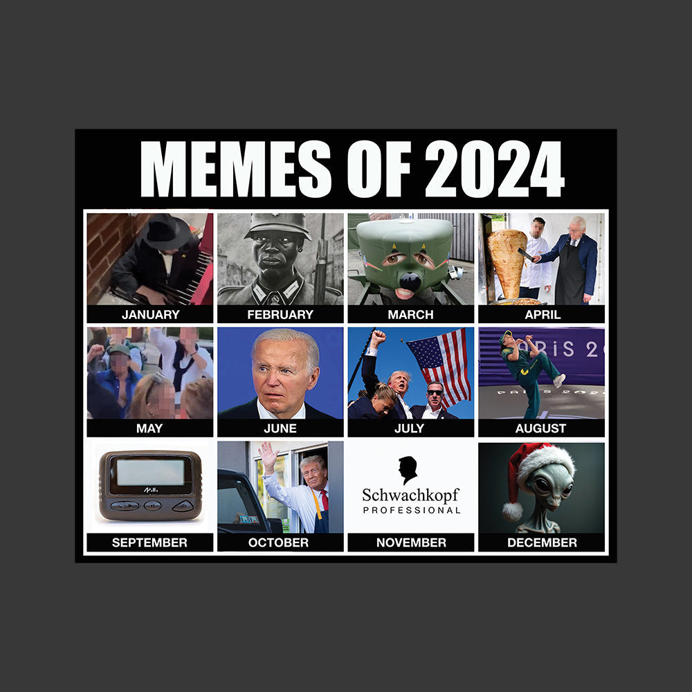 Memes of 2024 – Snicklink